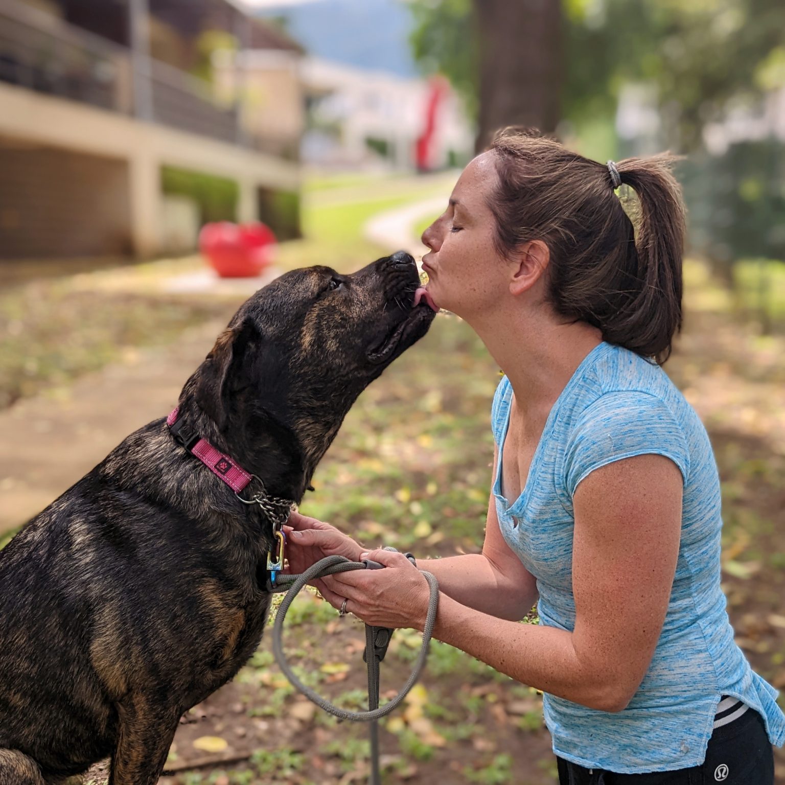 Meet Mandy Torres - Yip Fitness